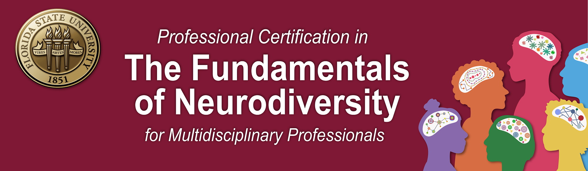 Fundamentals of Neurodiversity | Institute for Trauma and Resilience ...